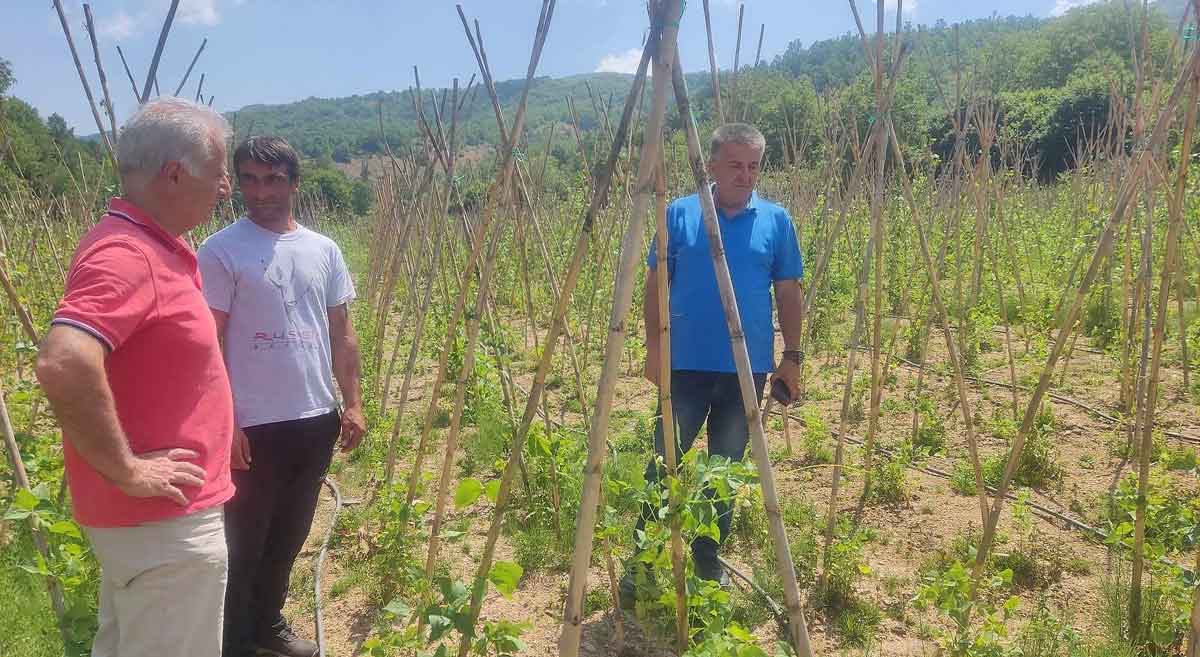 Αυτοψία Θωμά Μάνου στην ολική καταστροφή των καλλιεργειών φασολιών στα ...