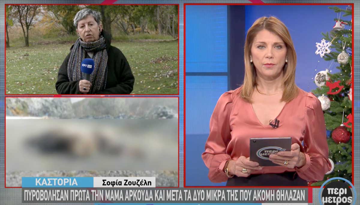 Εκταφή και νεκροτομή διέταξε η Εισαγγελία για τις αρκούδες που ...