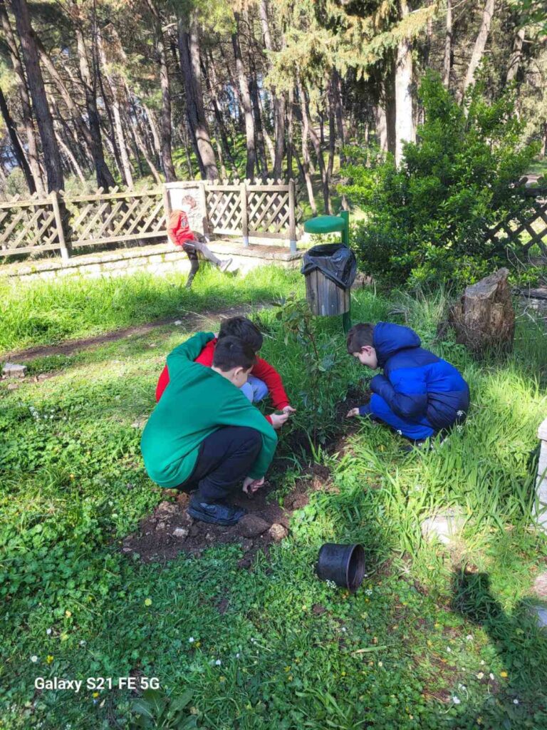ΔΡΑΣΕΙΣ ΔΑΣΙΚΩΝ ΥΠΗΡΕΣΙΩΝ ΗΠΕΙΡΟΥ-ΔΥΤΙΚΗΣ ΜΑΚΕΔΟΝΙΑΣ ΓΙΑ ΤΗΝ ΠΑΓΚΟΣΜΙΑ ...