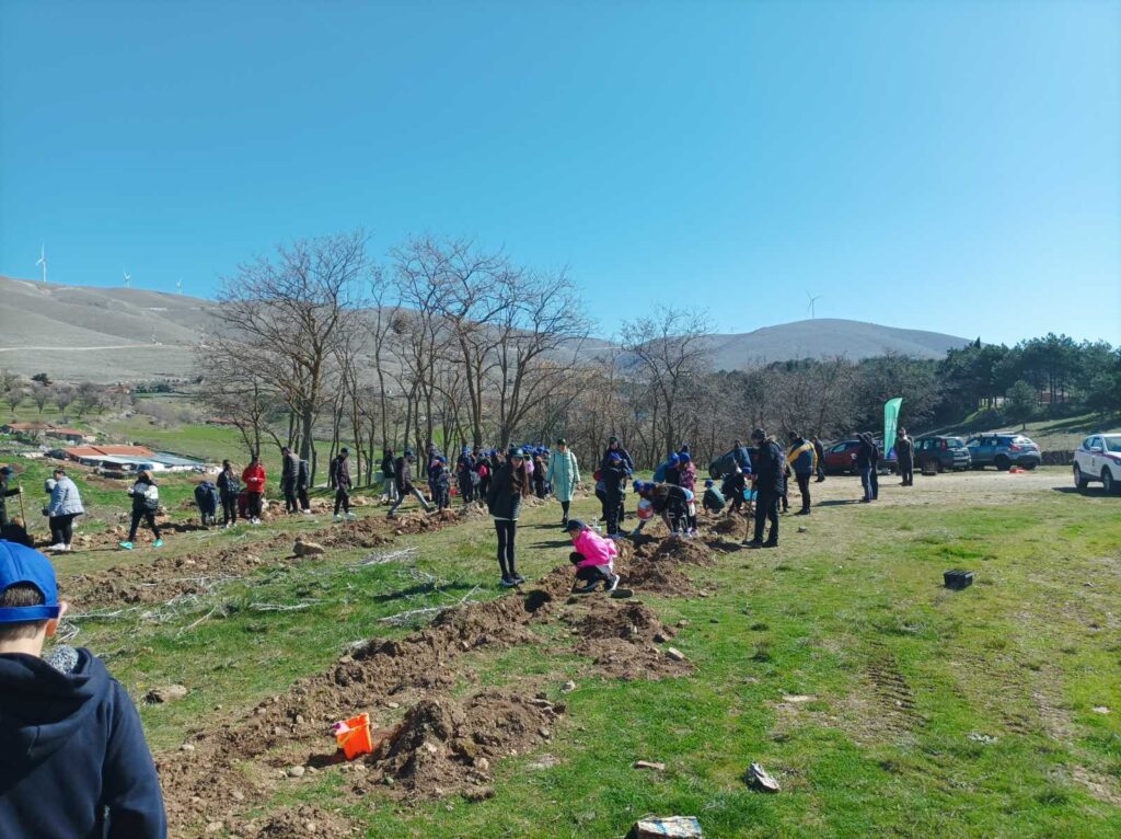 ΔΡΑΣΕΙΣ ΔΑΣΙΚΩΝ ΥΠΗΡΕΣΙΩΝ ΗΠΕΙΡΟΥ-ΔΥΤΙΚΗΣ ΜΑΚΕΔΟΝΙΑΣ ΓΙΑ ΤΗΝ ΠΑΓΚΟΣΜΙΑ ...